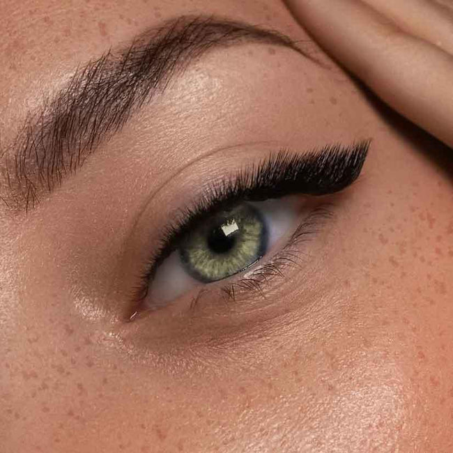 Learn Lashes – LeCil